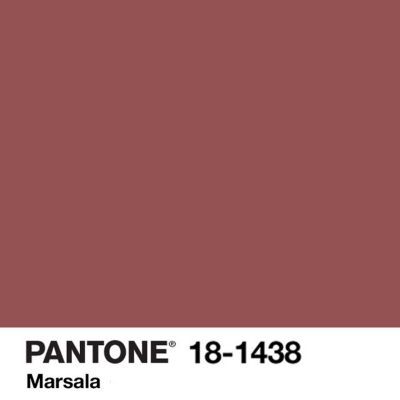 Peinture murs et boiseries Tollens Pantone 18-1438 marsala satin 2L ...