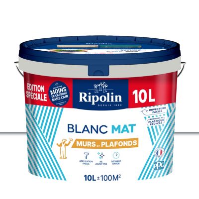 Castorama Peinture Blanche