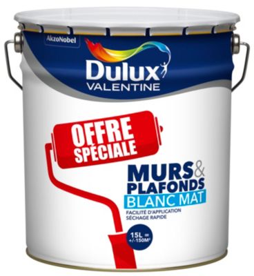 Avis Peinture Dulux Valentine