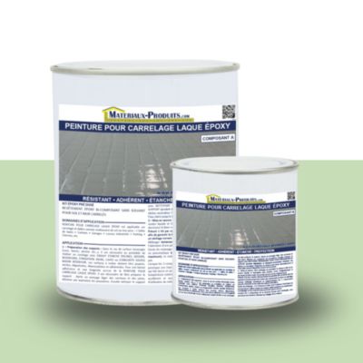 Peinture pour carrelage laque époxy Kit de 1 Kg Vert Pastel RAL 6019 ...