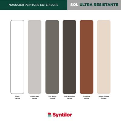 Peinture sol extérieur gris asphalte satin Syntilor Ultra Résistante 2.5 L