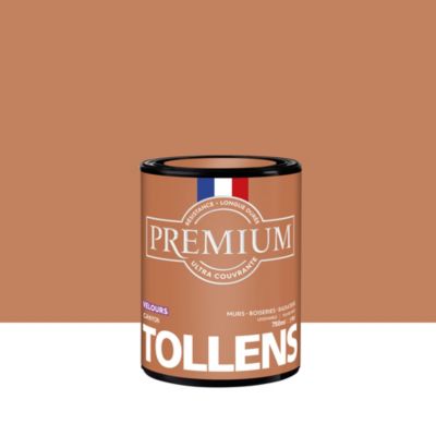 Peinture Tollens premium murs, boiseries et radiateurs marron canyon ...