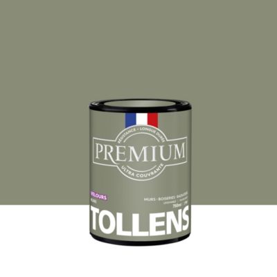 Peinture Tollens premium murs, boiseries et radiateurs vert kaki ...