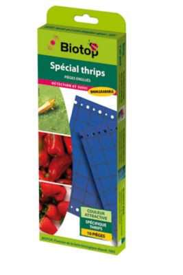 Piège englué bleu spécial thrips Biotop (10 plaques) | Castorama