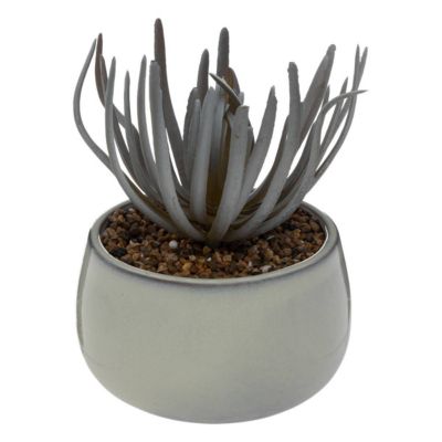 Plante artificielle en pot en céramique H18cm - Atmosphera | Castorama