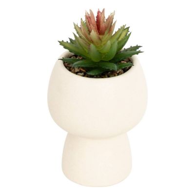 Plante artificielle Livy pot céramique H17cm- Blanc- Atmosphera | Castorama