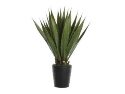 Plante grasse artificielle - Jardideco