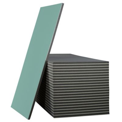 Plaque de doublage hydrofuge 250 x 120 cm, ép.13 mm + 40 mm (vendu à la ...