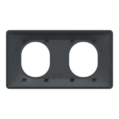 Plaque de finition 2 postes Schneider Electric Ovalis S340704E coloris ...