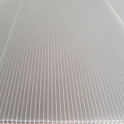 Plaque polypropylène alvéolaire uv pro 2x1m ep10mm | Castorama