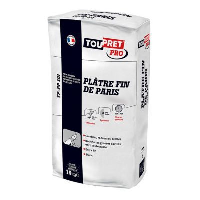Plâtre fin de Paris 15kg | Castorama