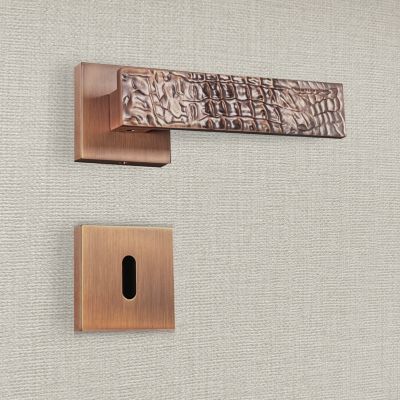 Poignée de porte design à clé finition aspect bronze brossé Bruna ...