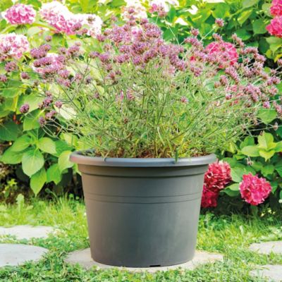 Pot de fleur | Castorama
