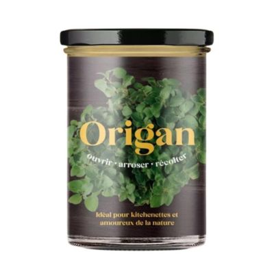 Potager de cuisine Origan en pot - Resetea - Graines semences Origan Jaune