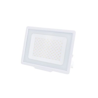 Projecteur LED SMD 10W - 800lm - Blanc Froid 6000K - IP65 - 120 - Aluminium