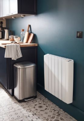 Radiateur électrique à inertie sèche Delonghi Kendra 1000W
