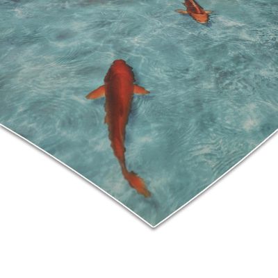 Revêtement de sol PVC 3D Moonlight Vinyle Océan 200 x 350 cm - Floordirekt