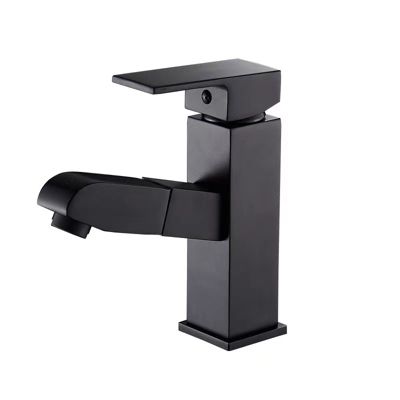 Robinet lavabo salle de bain avec doucette tirage Noir famille standard ...