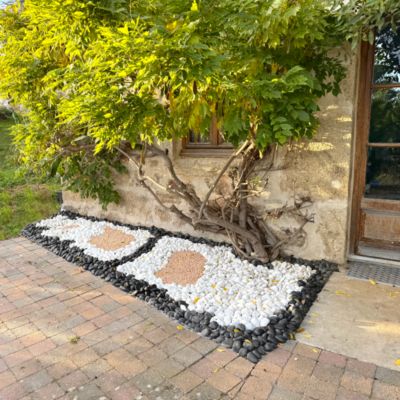 Rouleau géotextile 10 mètres 150g/m2 Unité