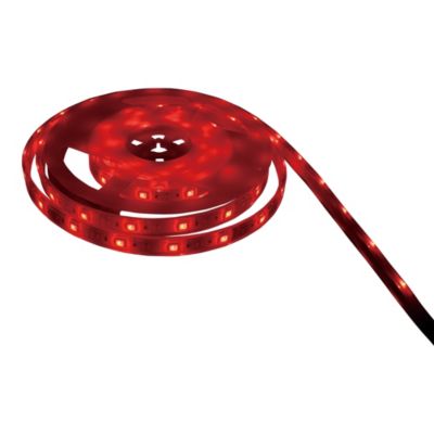 Ruban lumineux Ammasy LED intégrée variation de couleurs IP65 dimmable 1200lm 13W L.300cm blanc ...