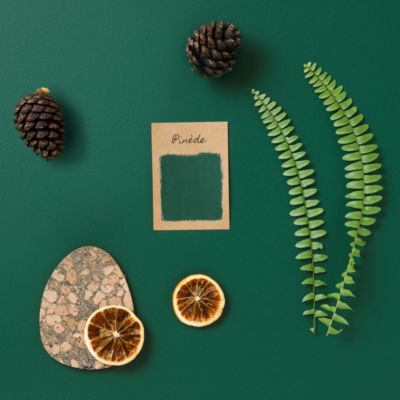 Rust-Oleum Peinture Verte pour Meubles de Cuisine, Mat - Pinède 750ml