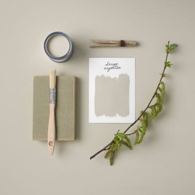 Rust-Oleum Peinture Verte pour Meubles de Cuisine, Mat - Sauge Argentée ...