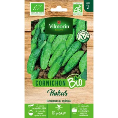 Sachet graines Cornichon Hokus BIO - Cucumis sativus