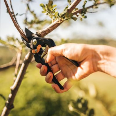 Sécateur à lame franche Solid P131 Fiskars | Castorama