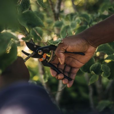 Sécateur à lame franche Solid P131 Fiskars