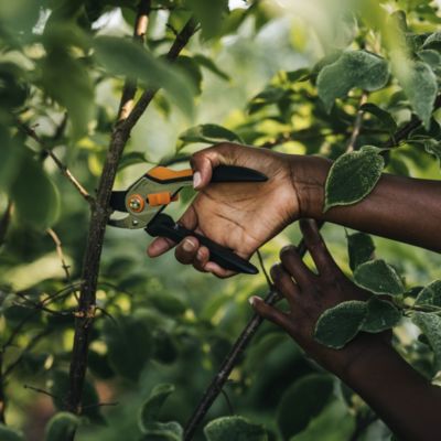 Sécateur à lame franche Solid P331 Fiskars