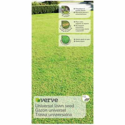 Semence gazon universel Verve 10kg 400m²