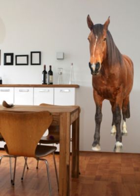 Sticker Autocollant Photo Cheval 60x170cm Décoration Intérieure Animaux ...