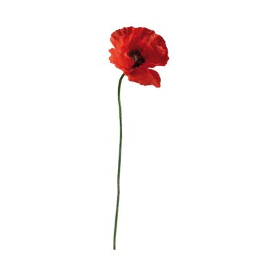 Sticker XXL Coquelicot