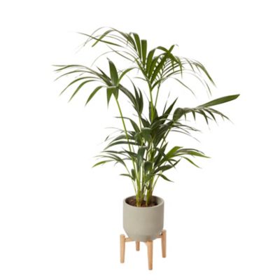 Support en bois naturel pour pot de diam.19cm GoodHome