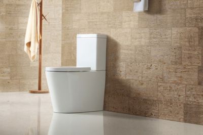 Swiss Aqua Technologies Brevis WC à poser sans bride + abattant ...