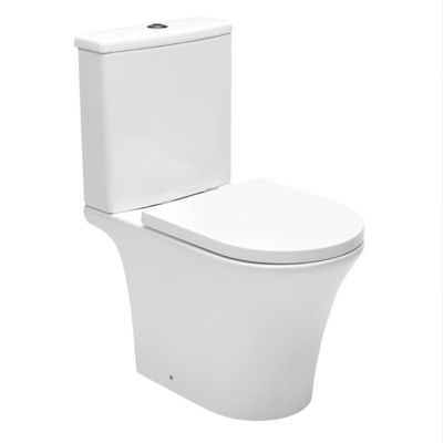Swiss Aqua Technologies Combi WC à poser sans bride, avec abattant ...