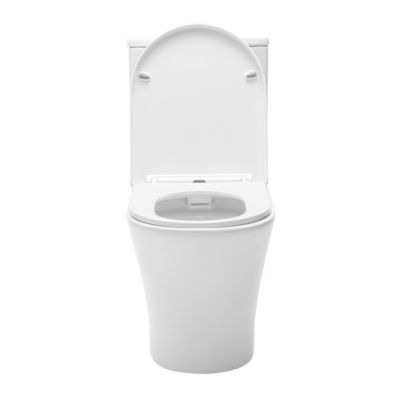 Swiss Aqua Technologies Combi WC à poser sans bride, avec abattant ...