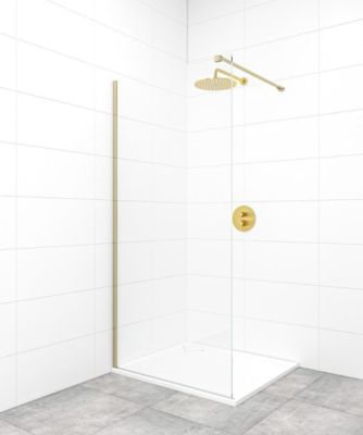 Swiss Aqua Technologies Walk-in 120x200cm Paroi en verre Crystal Glass ...