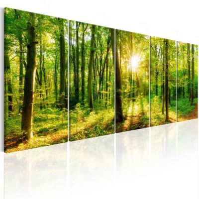 Tableau déco Magic Forest 225x90 cm | Castorama