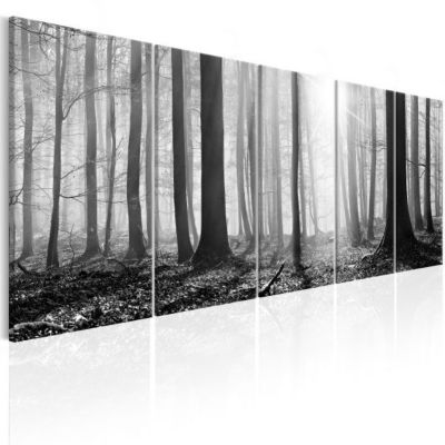 Tableau Monochrome Forest 225x90 cm