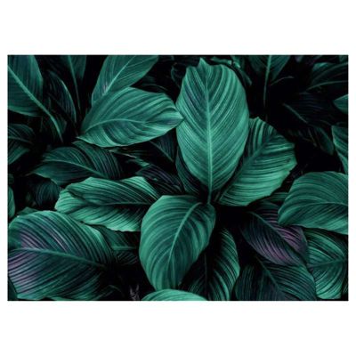 Tableau toile en kit CHLOROPHYLLE 180 x 130 cm - Toile textile sans PVC ...