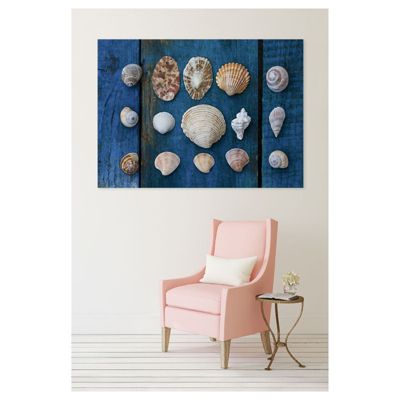 Tableau toile en kit COLLECTION DE COQUILLAGES 180 x 130 cm - Toile ...
