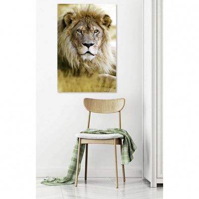 Tableau toile XXL en kit Lion 60 x 90 cm - Toile textile sans PVC
