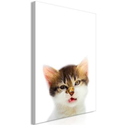Tableau Vexed Cat 1 Pièce Vertical 40x60 cm