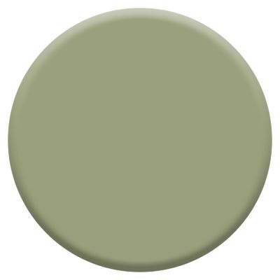 Testeur peinture vert gentil cactus satin Dulux Valentine Crème de ...