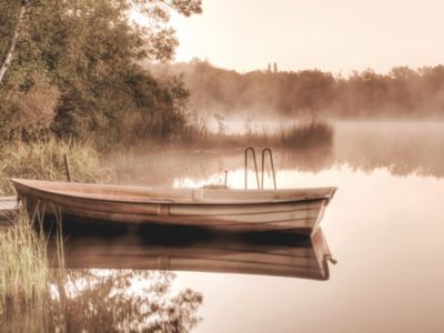 Toile barque naturel, vert Dada Art l.80 x H.60 cm | Castorama