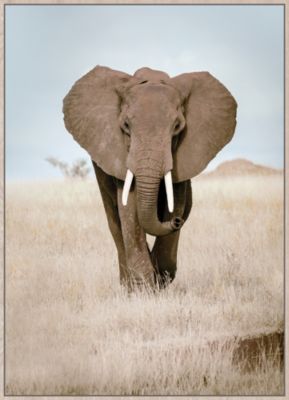 Toile eléphant naturel, bleu Dada Art l.54 x H.74 cm | Castorama