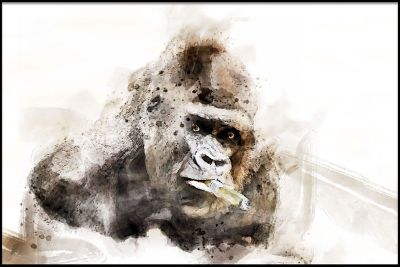 Toile Gorilla Aqua 60X90cm