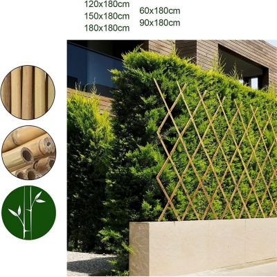 Treillis en Bambou pour Jardin, Balcon et terrasse Extensible 60 x 180 cm