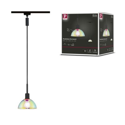 URail Suspension Sarrasani E14 max. 20W gradable 230V Noir mat, Dichroïque